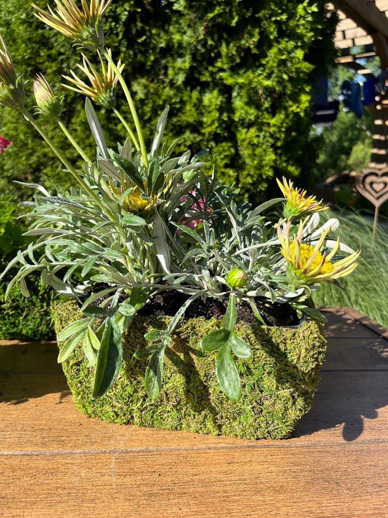 Natural Rustic Moss Basket Planter Rectangular Wicker Centerpiece Pot ...