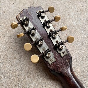 Vintage Retro 50s 1950s Banjolin Banjo Hard Case Instrument Collection ...