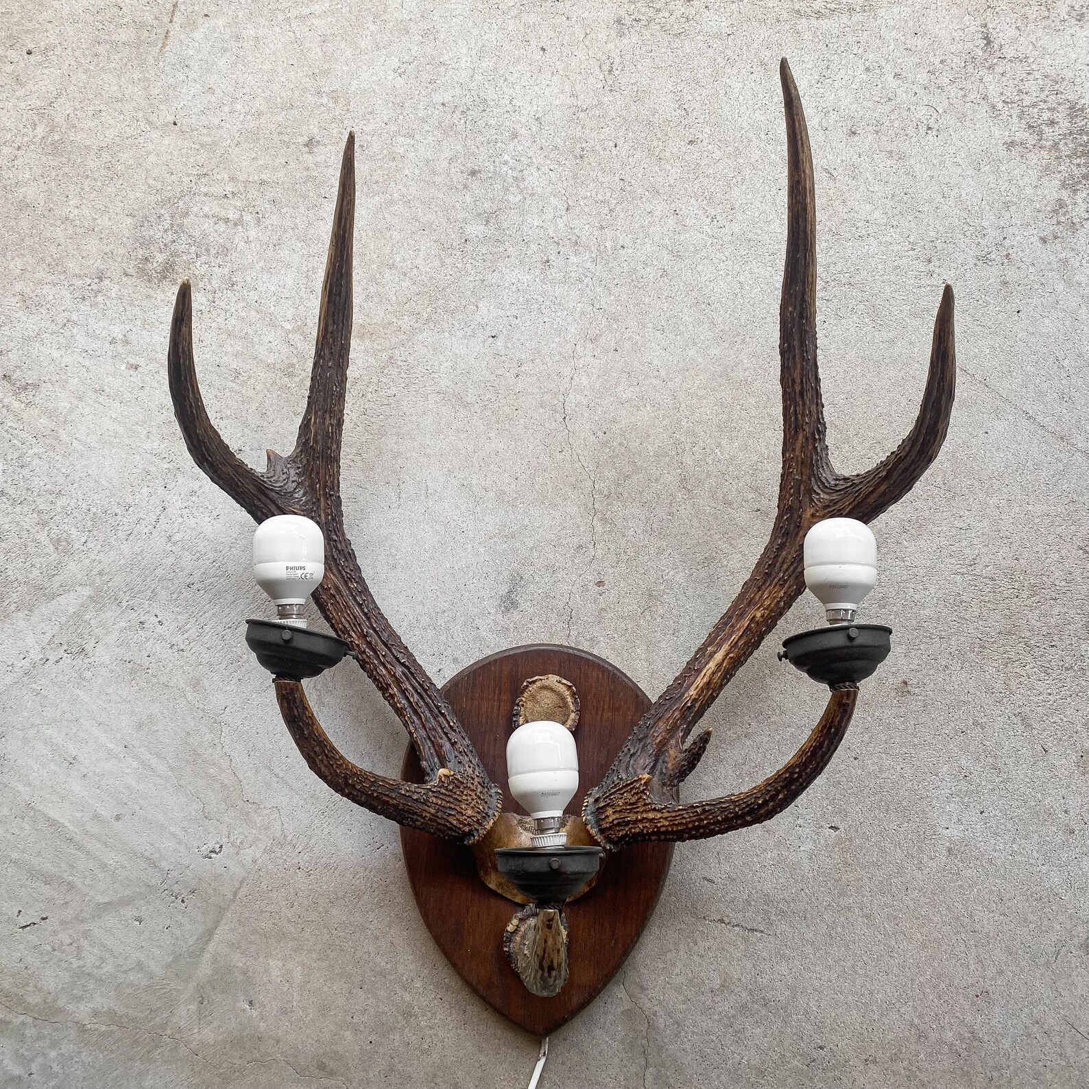 Vintage Retro 50s Red Deer Stag Antlers Horns Antler Lamp Lighting ...