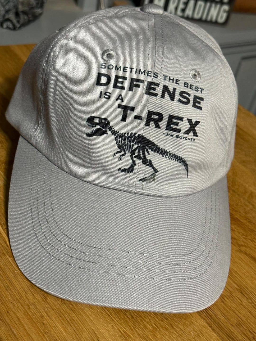 Defense Dinosaur Baseball Cap - Etsy