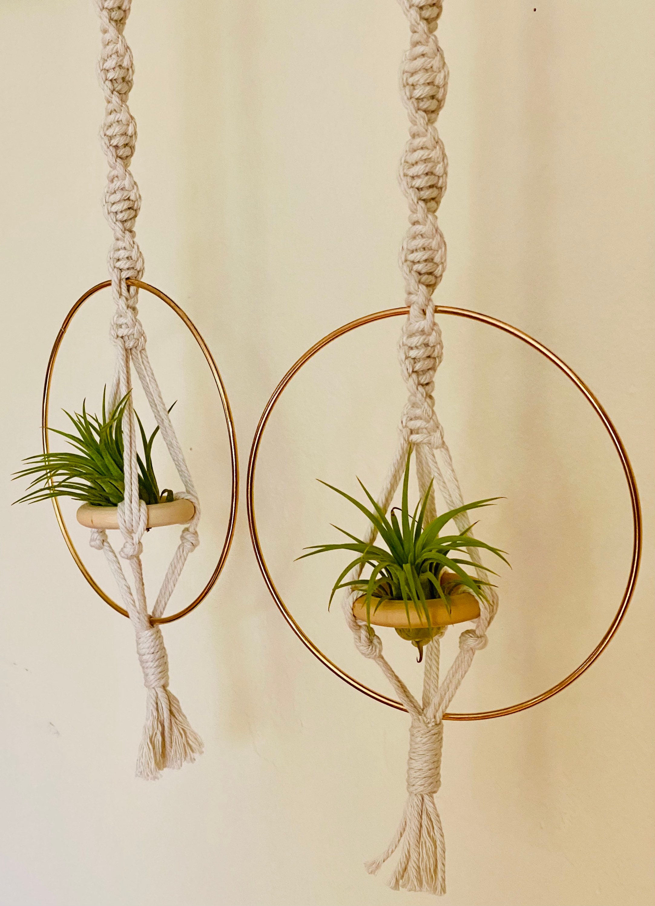 Air Plant Hanger Modern Air Plant Holder Minimalist Plant - Etsy