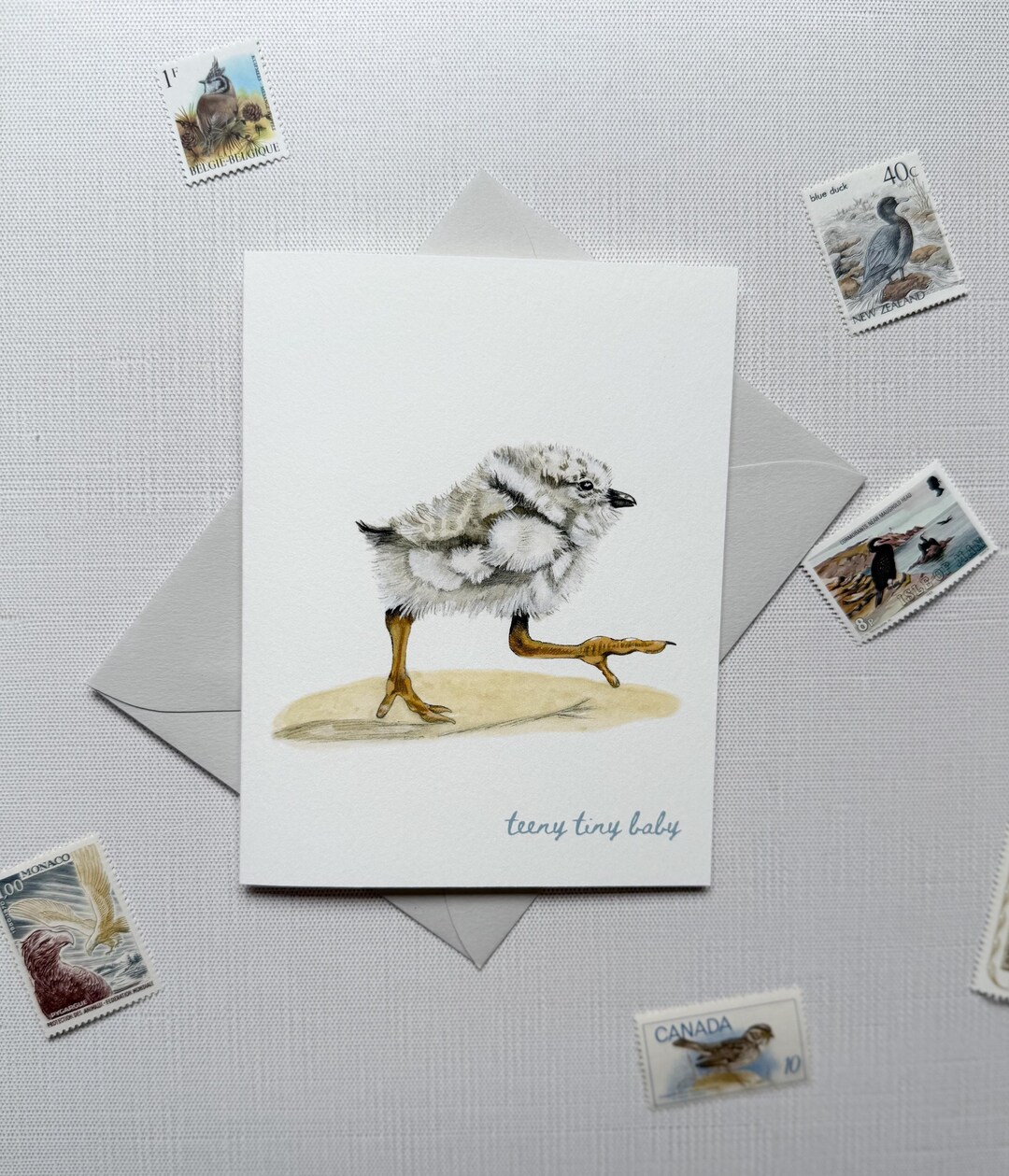 Piping Plover Chick Card: Watercolor Baby Shower Card - Etsy