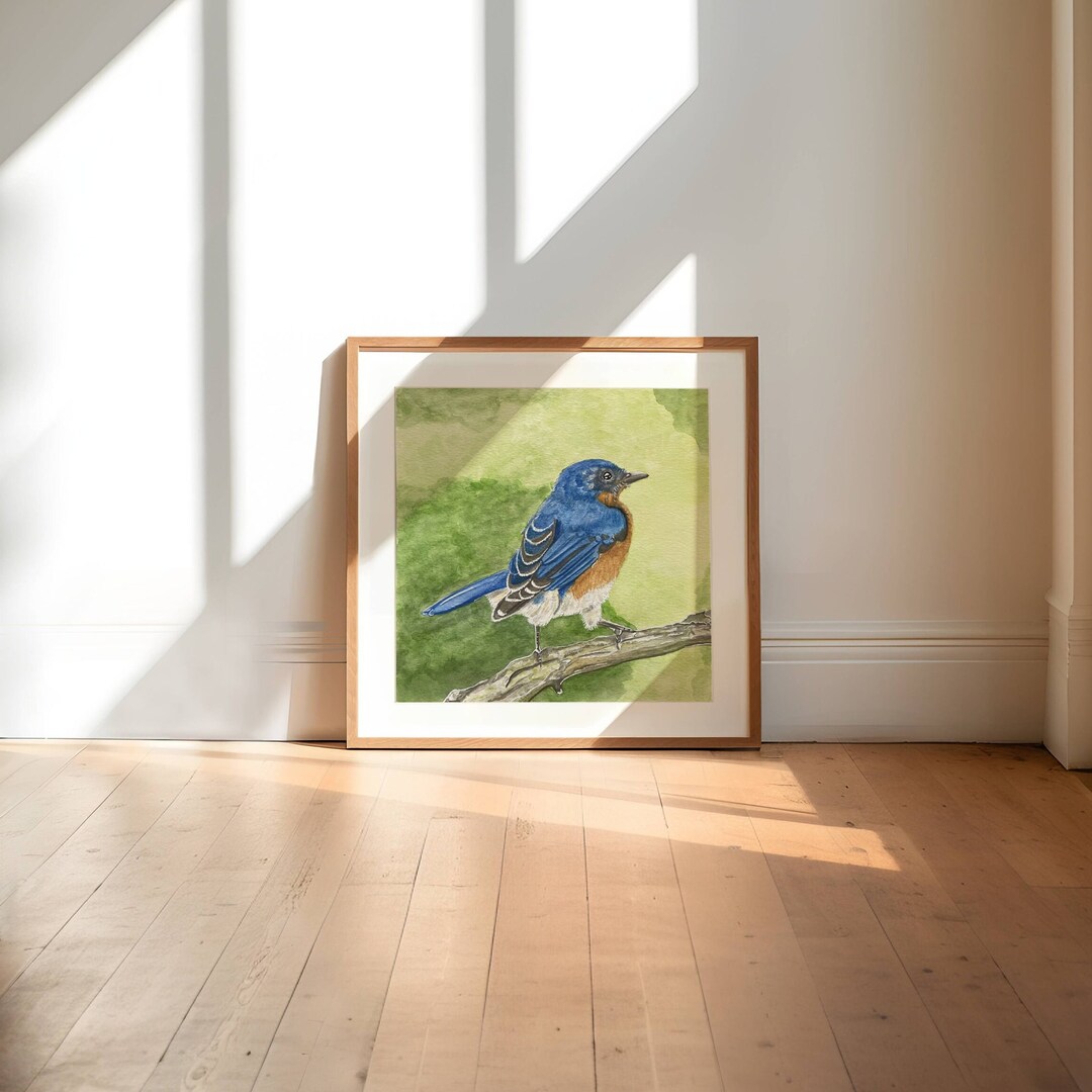 Watercolor Eastern Bluebird Print | Signed Limited Edition Giclée Print ...