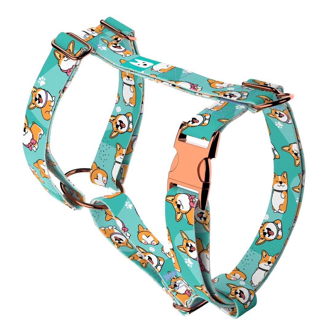 Dog Harness or Cat Harness With Matching Leash optional Dog Breed ...