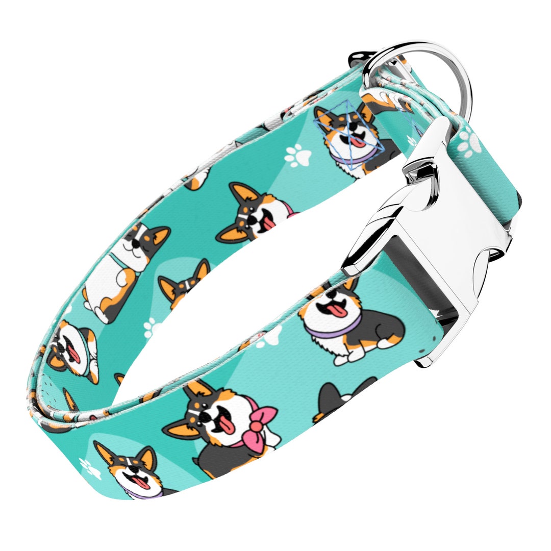 Personalized Dog Collar, Dog Collar and Leash Set, Custom Dog Collar ...