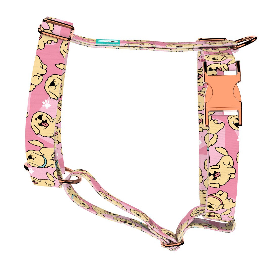 Golden Retriever Harness Matching Harness and Leash optional Dog Breed ...