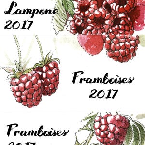 Raspberry Jam Labels, Canning Labels Customizable, Raspberry Jam ...