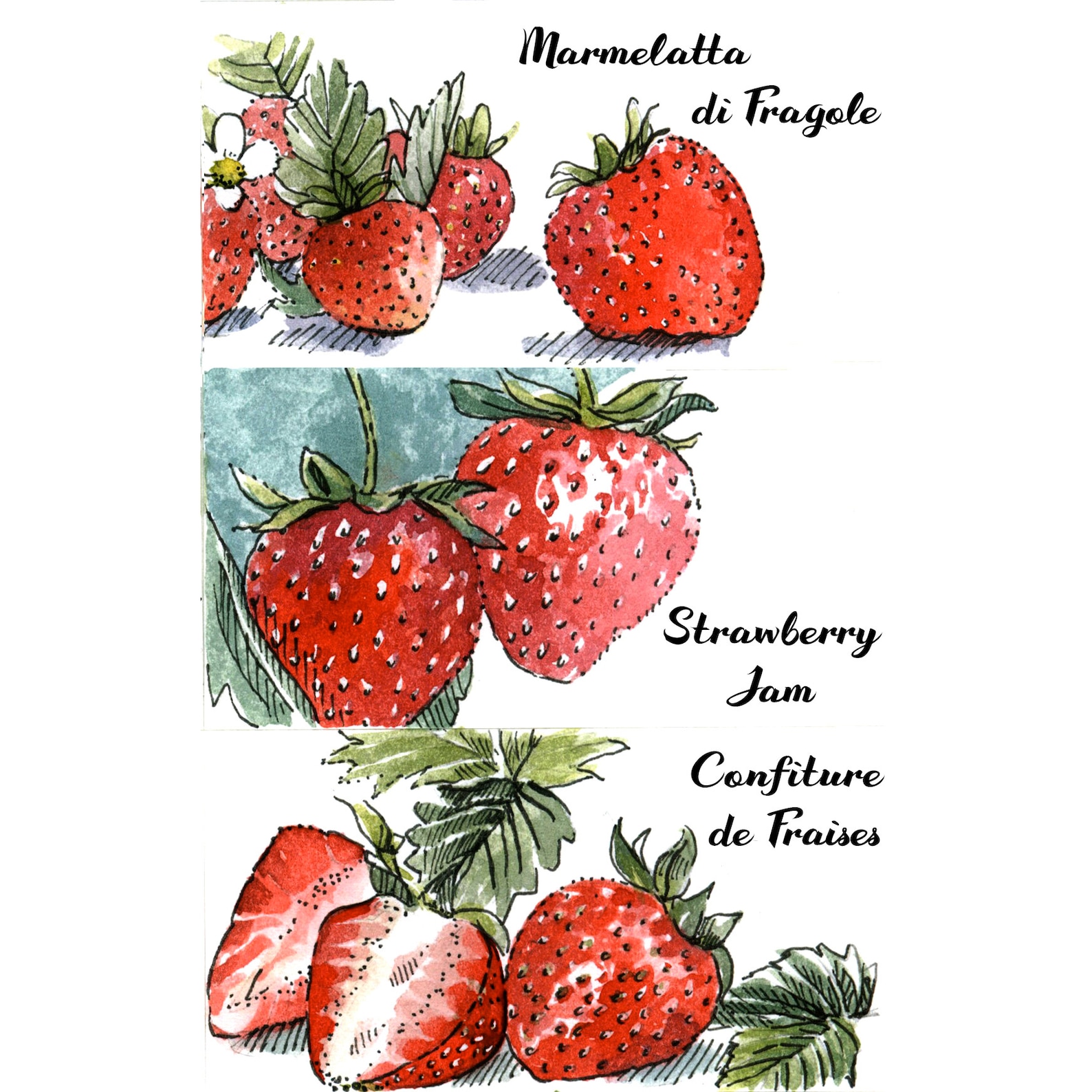 Etiquettes confiture fraise, stickers fait main, autocollant aquarelle ...