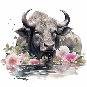 Artistic Water Buffalo Clipart Bundle. 37 Images Digital Download Great ...