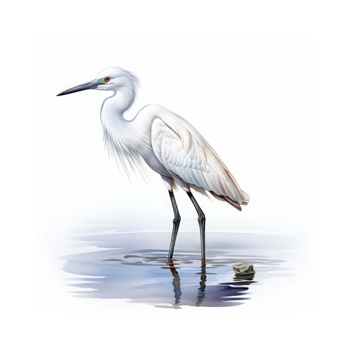 Beautiful Birds Light Background. not Transparent for Use - Etsy