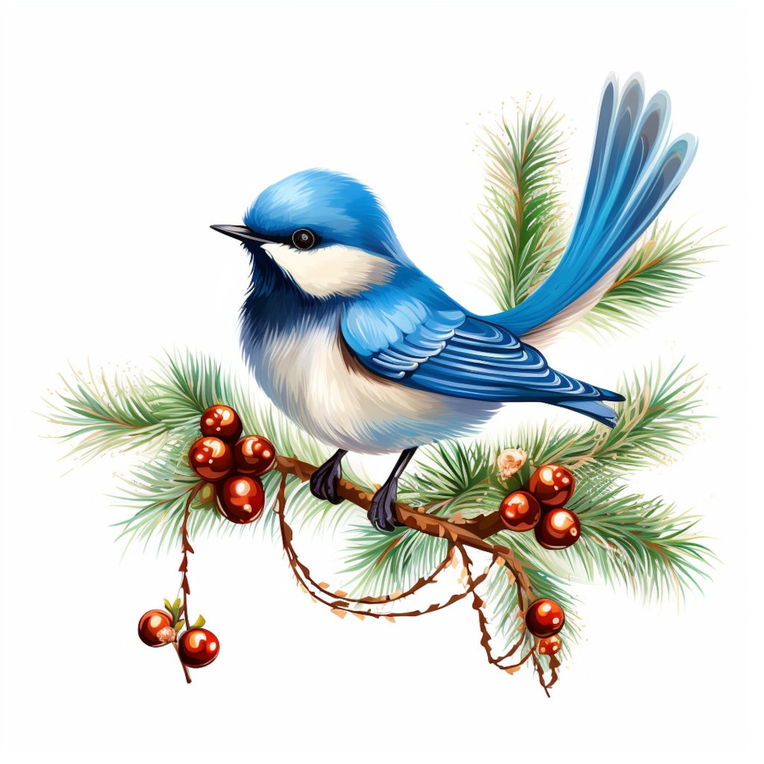 Christmas Birds | Clipart Bundle | 300 Dpi High Quality | Commercial ...