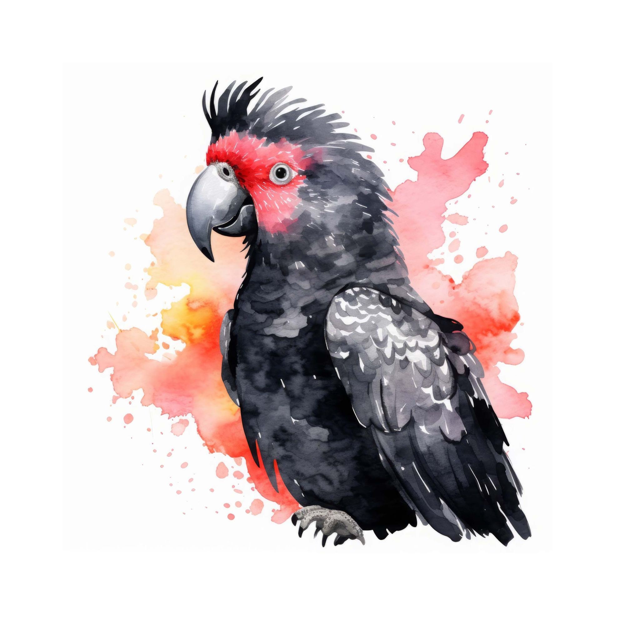 Beautiful Bird Clipart Bundle. 81 Files High Quality 300 Dpi Great for ...