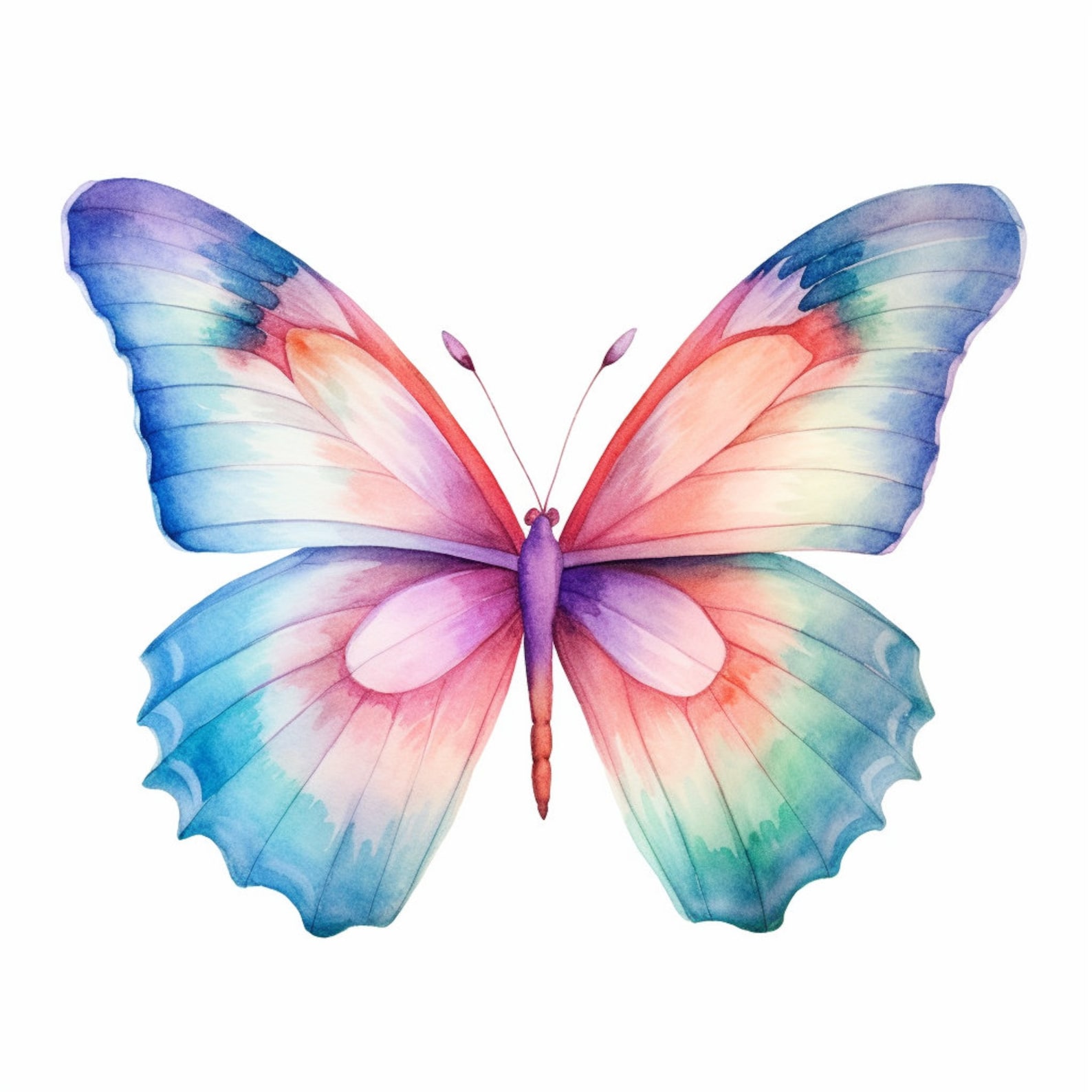 Watercolour Butterflies Clipart Bundle 5 | High Quality Png's | 300 DPI ...