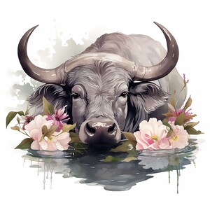Artistic Water Buffalo Clipart Bundle. 37 Images Digital Download Great ...