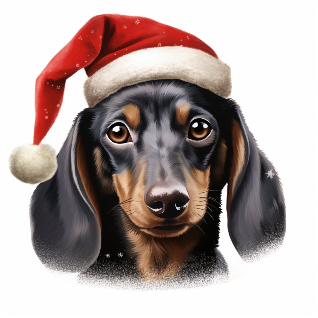 Christmas Dogs in Hats Clipart | High Quality Png's | 300 DPI | Instant ...