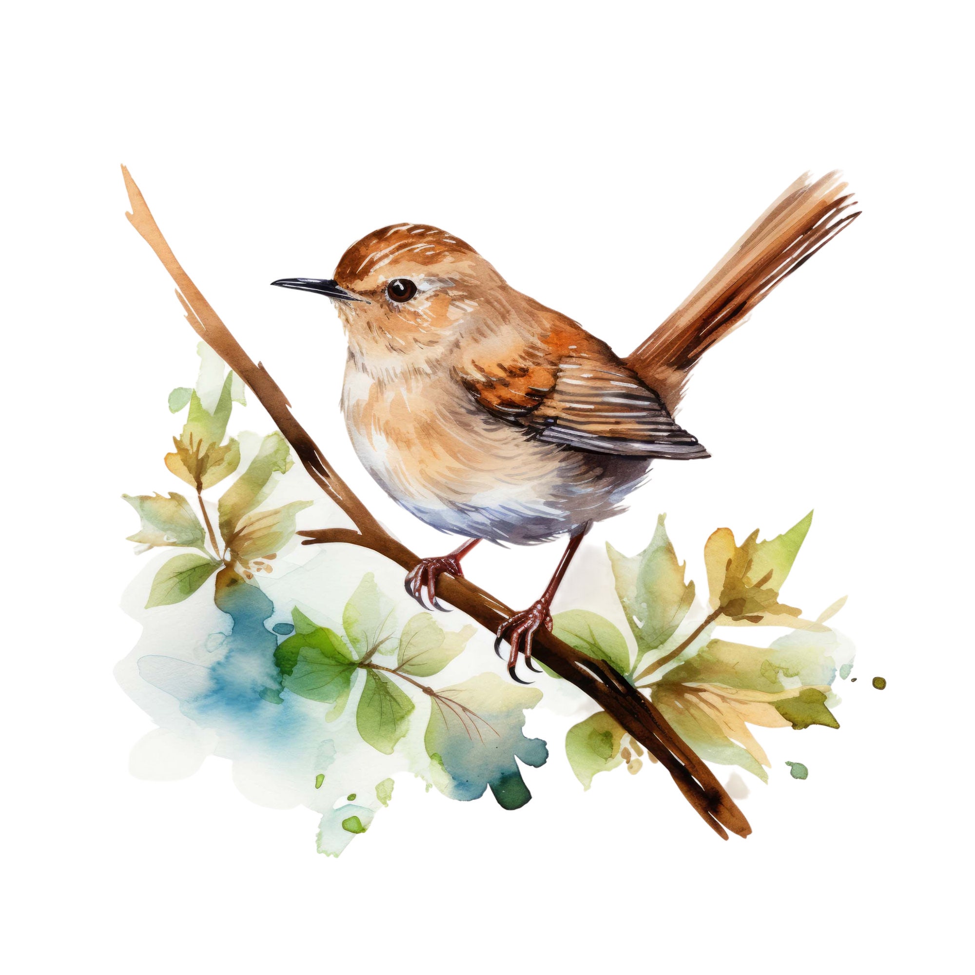 Beautiful Bird Clipart Bundle. 10 Files High Quality 300 Dpi Clipart ...