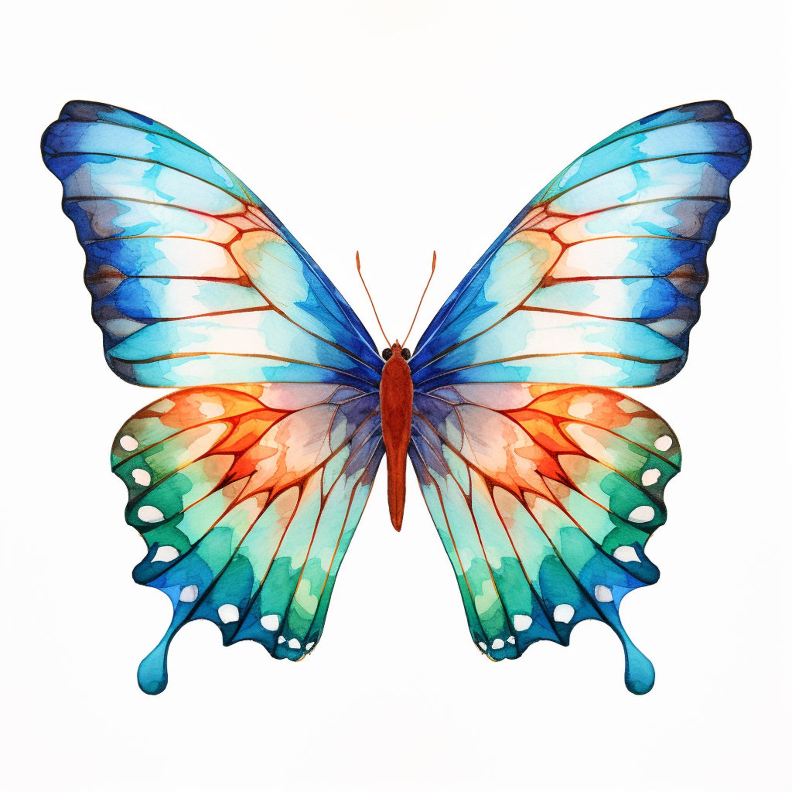 Watercolour Butterflies Clipart Bundle 5 | High Quality Png's | 300 DPI ...