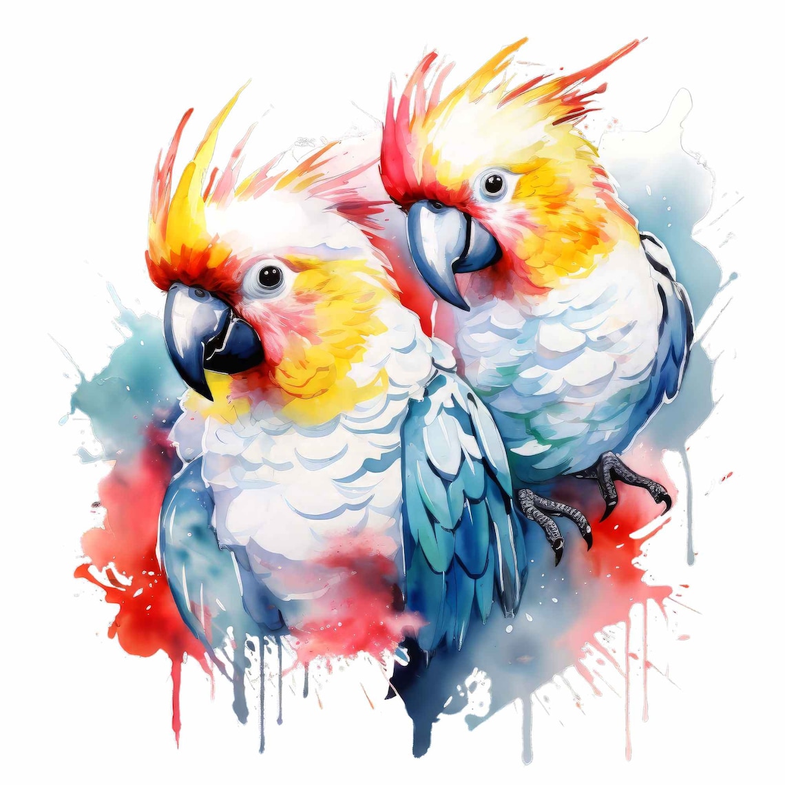 Beautiful Bird Clipart Bundle High Quality Png's 300 DPI Instant ...