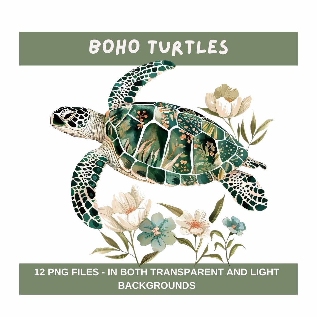 BOHO TURLE Clipart Bundle. - 12 X Png in Both Transparent and Light ...