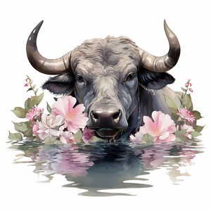 Artistic Water Buffalo Clipart Bundle. 37 Images Digital Download Great ...