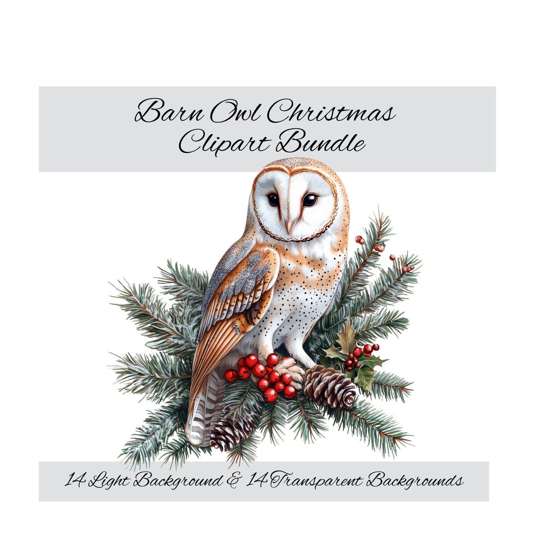Barn Owl Christmas Clipart Bundle : Santa, Festive Trees (digital ...