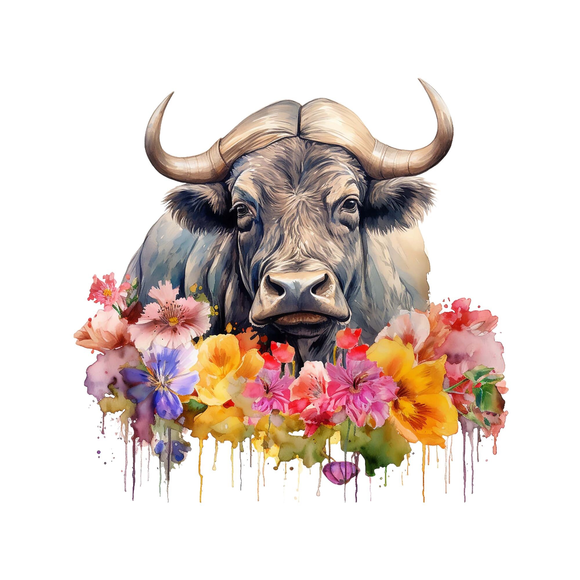 Transparent Background Water Buffalo Clipart Bundle 10 - Etsy