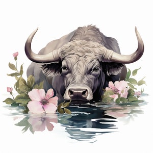 Artistic Water Buffalo Clipart Bundle. 37 Images Digital Download Great ...