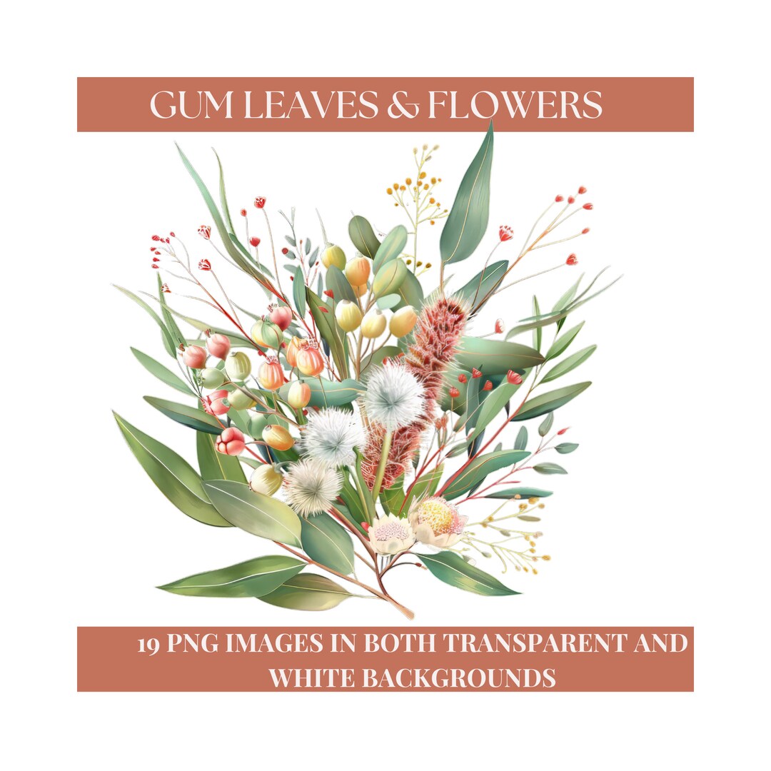 Gum Leaves & Flowers Clipart Bundle | High Quality Png's | 300 DPI ...