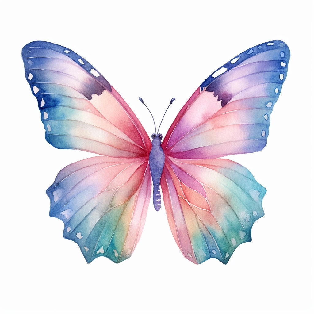 Watercolor Butterflies Clipart Bundle 1 High Quality Png's 300 DPI ...