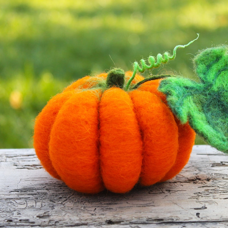 Wool Pumpkin - Etsy