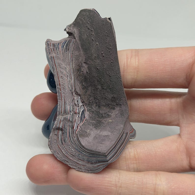 2026 Ford Mustang Fordite Half Polish Specimen/display Piece - Etsy