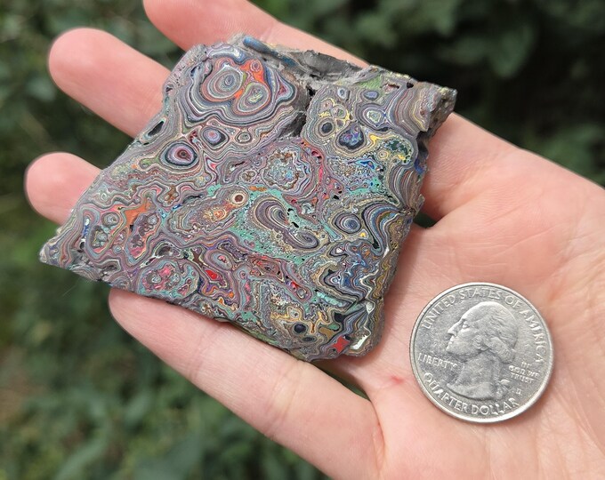 Cadillite (cadillac Ranch Fordite) Half Polished Specimen - Etsy