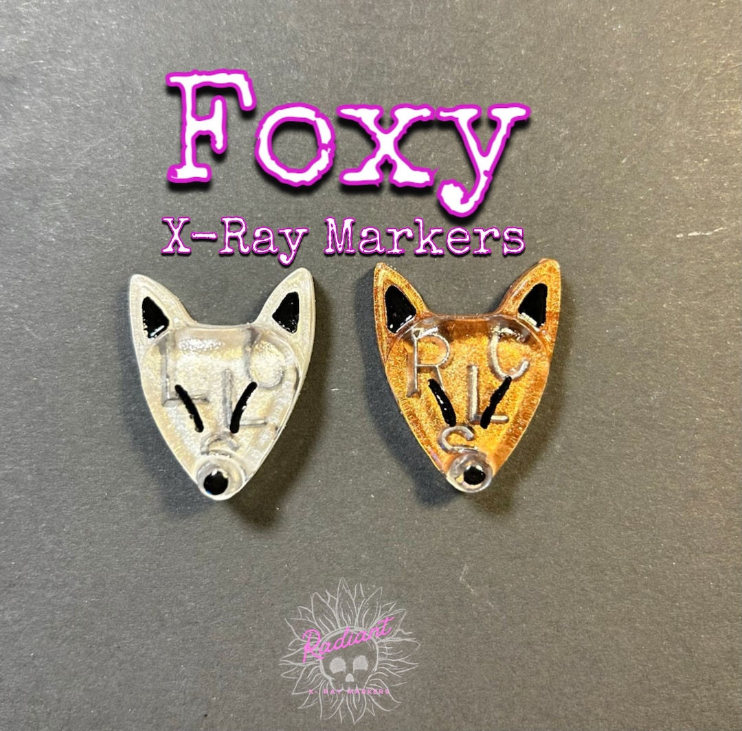Foxy X-ray Markers, Letters & Numbers Available! 2-3 Initials - Etsy