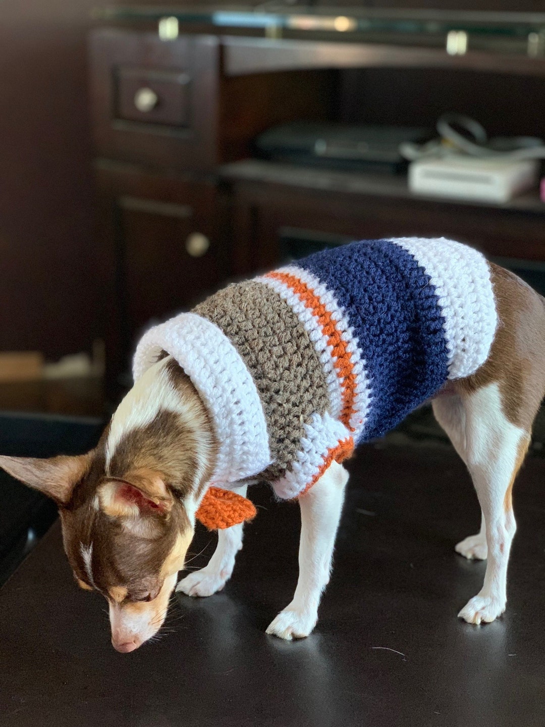 Polo Inspired Dog Sweater - Etsy
