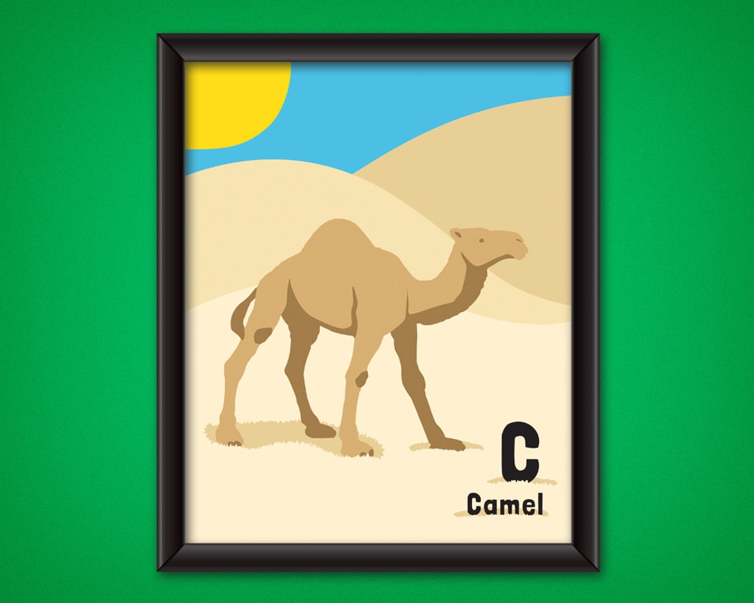 Animal Alphabet Poster - Camel - DIGITAL DOWNLOAD - Kids & Nursery Room ...