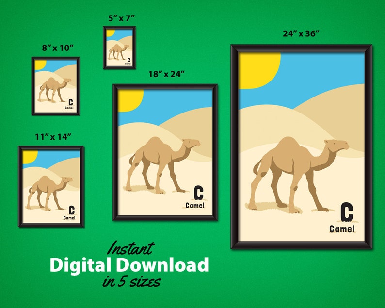 Animal Alphabet Poster Camel DIGITAL DOWNLOAD Kids & - Etsy