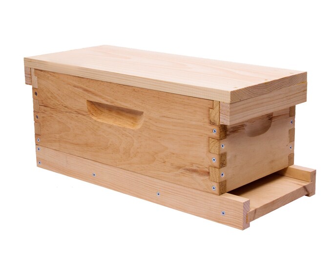 5 Frame Medium Hive Kit - Etsy