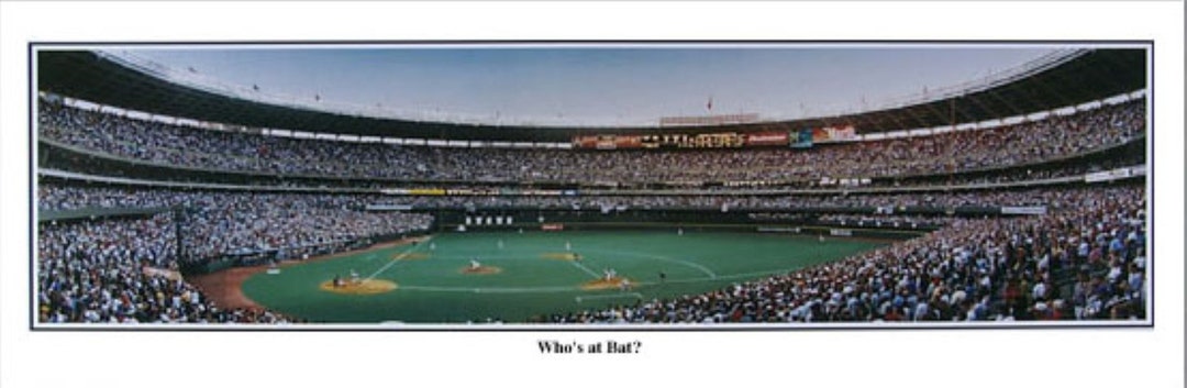 Cincinnati Reds Cinergy Field Who's at Bat? Mcgwire Panoramic Poster ...