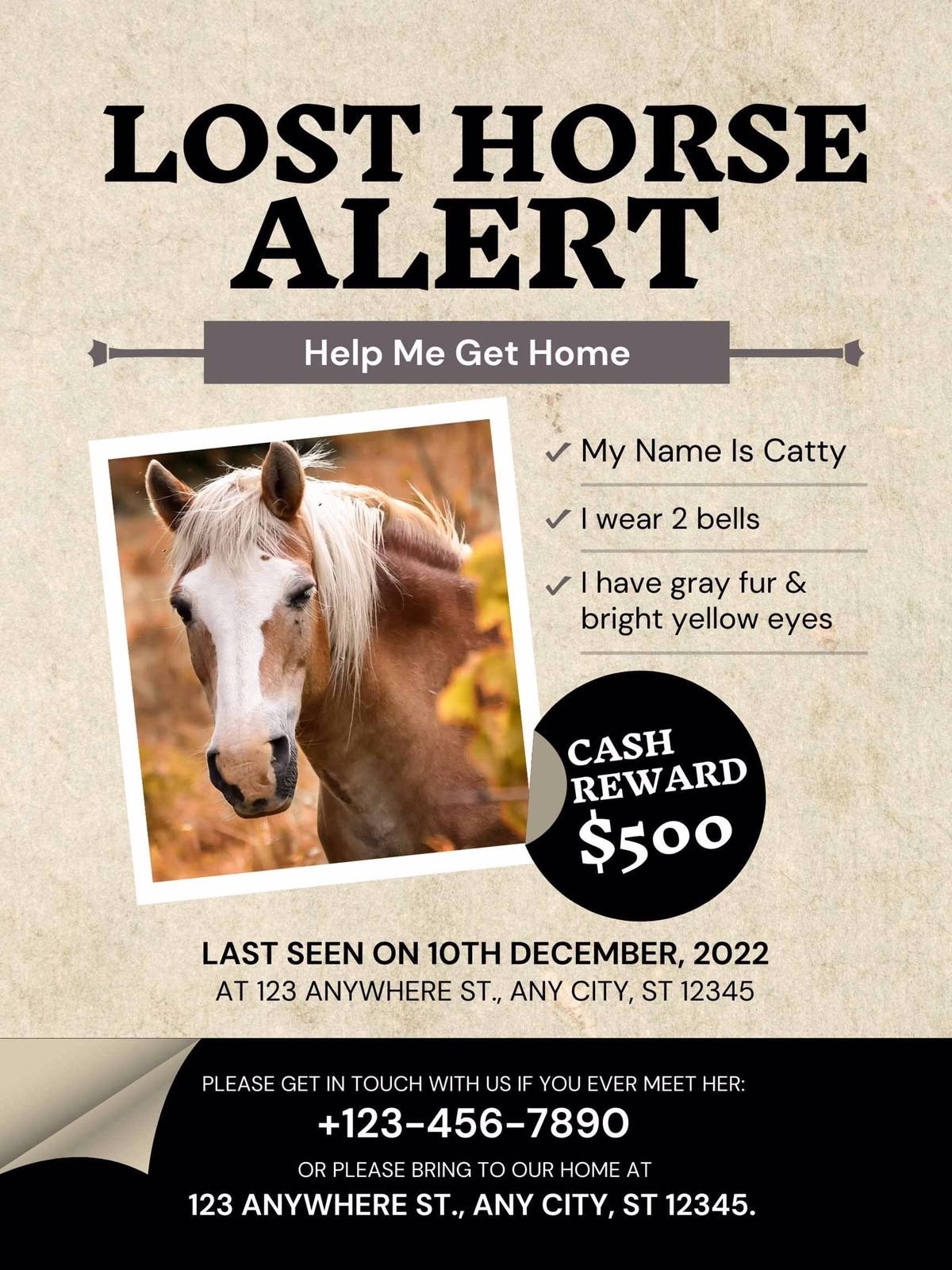 Lost Pet Missing Horse Dog Cat Wanted Poster - Etsy