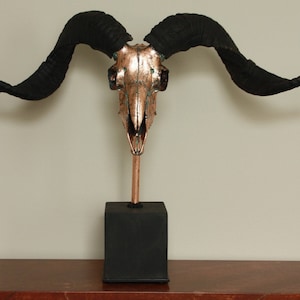 Ram Skull on Pedestal, Ram Skull in Roségold in Aged Finish, Real ...