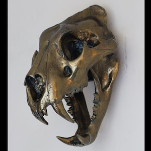 Lion Skull, Lion ( Replica ) Metalized in Brass, Brons, Antique ...
