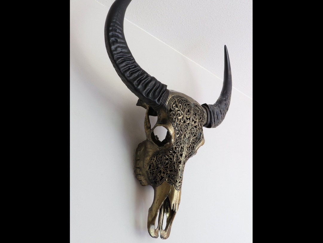 Real Buffalo Skull Celtic Design Carved Buffaloskull - Etsy