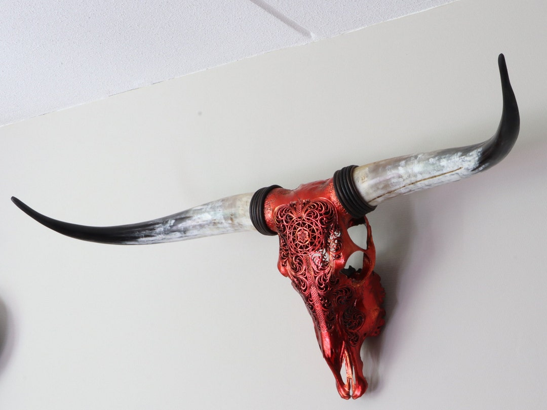 Longhorn Skull, Engraved Steer Skull, Real Skull in Red Metalic, Carved ...