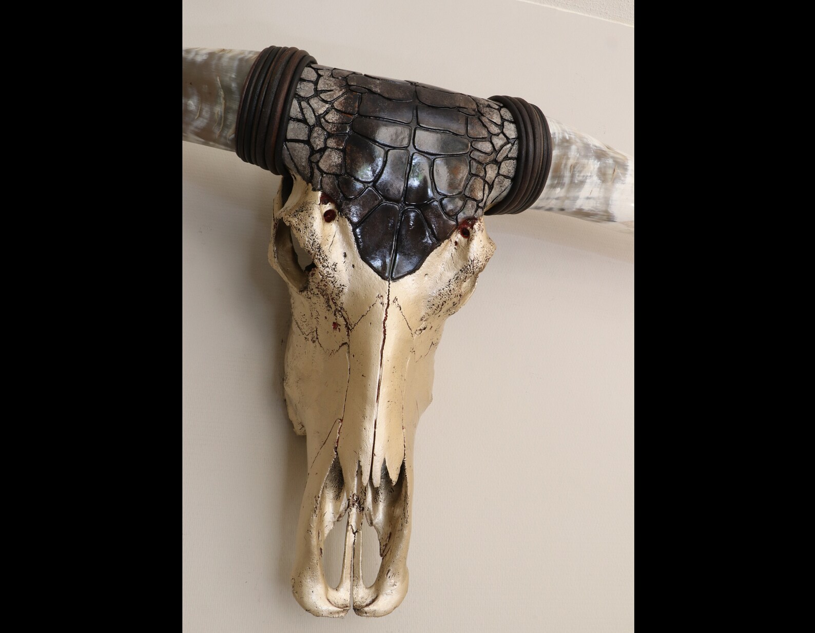 XL Longhorn Original Longhornskull Longhorn Skull Real - Etsy