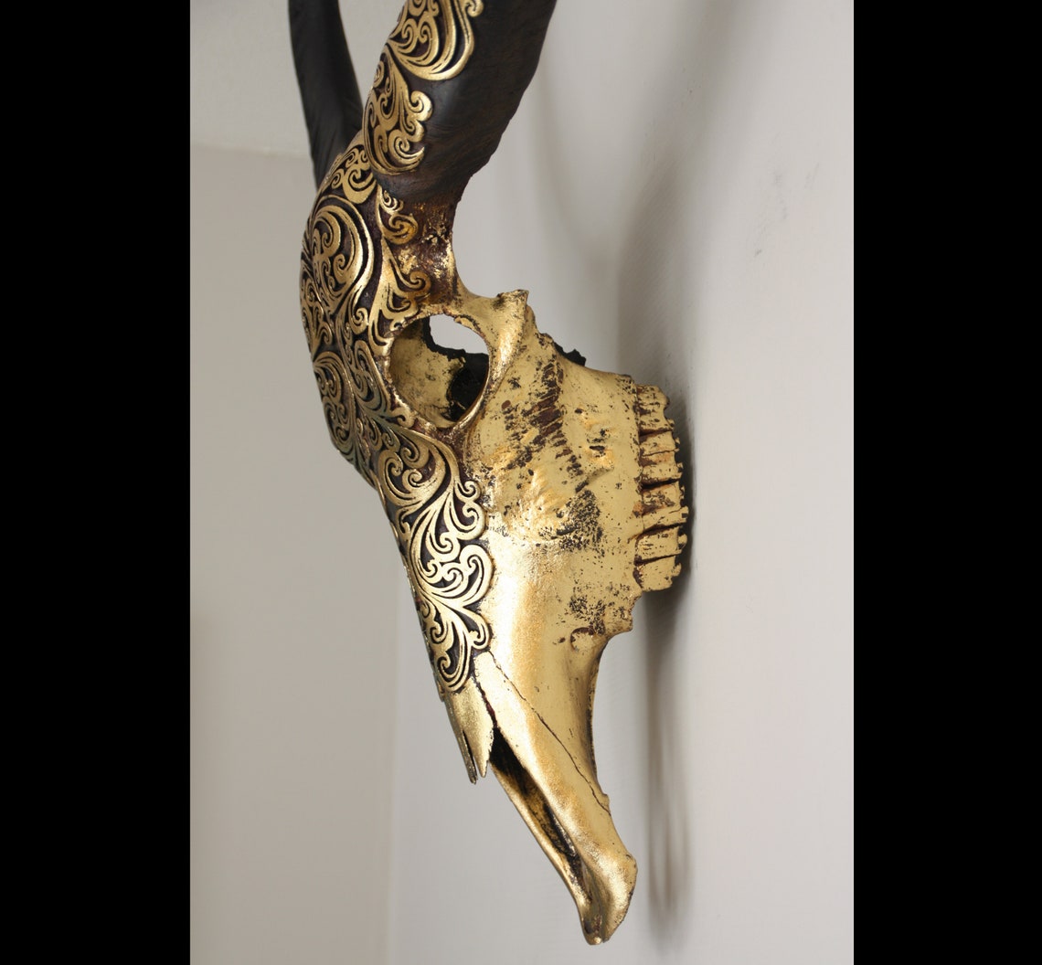 Decorated Buffalo Skull and Horns in Vintage Style Real Skull - Etsy