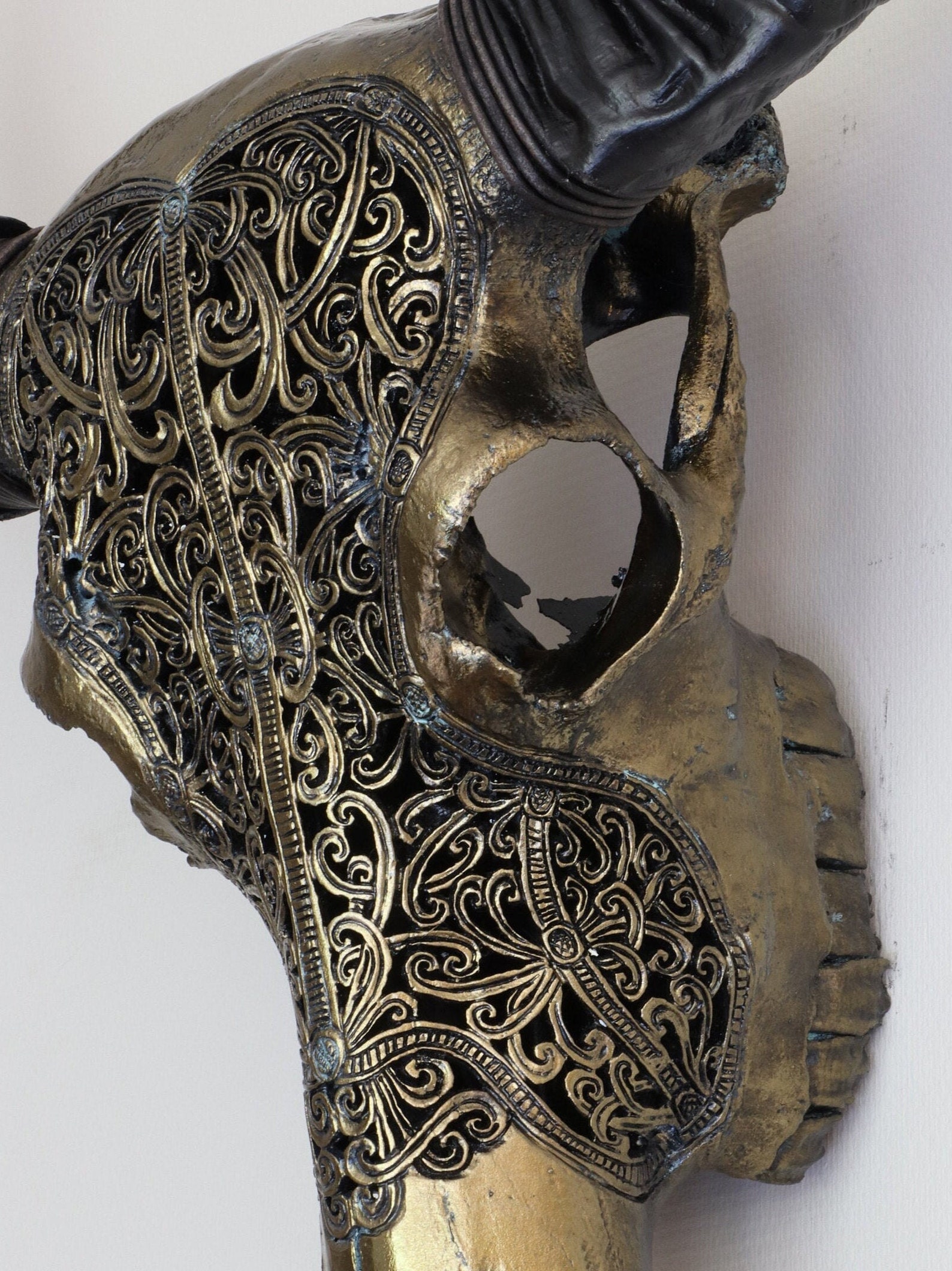 Real Buffalo Skull Celtic Design Carved Buffaloskull - Etsy