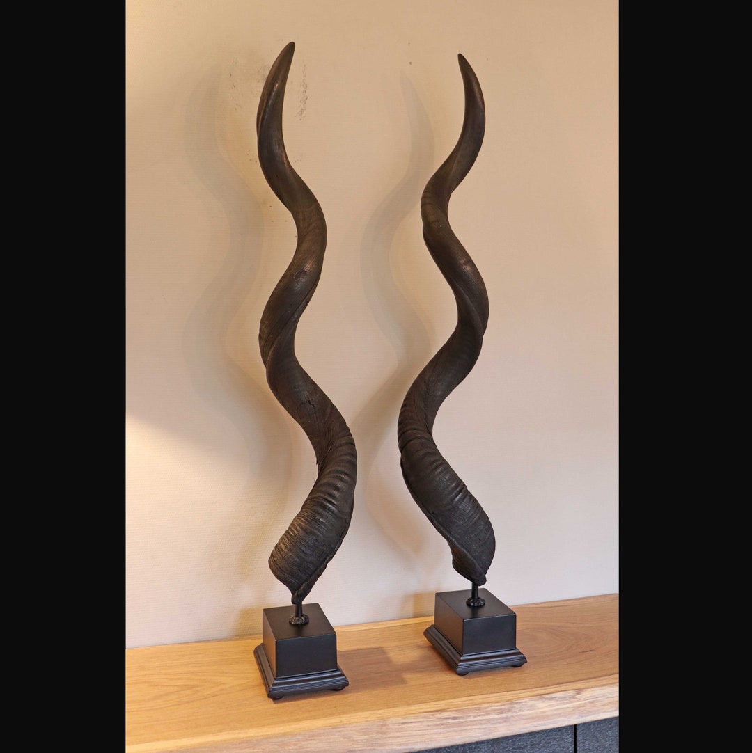 Pair Kudu Horns on a Black Solid Pedstal, 2 Real Horns Display, Set ...