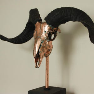 Ram Skull on Pedestal, Ram Skull in Roségold in Aged Finish, Real ...