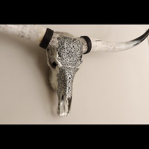 Longhornskull Hand Carved Art Object, Steerskull With Polished ...