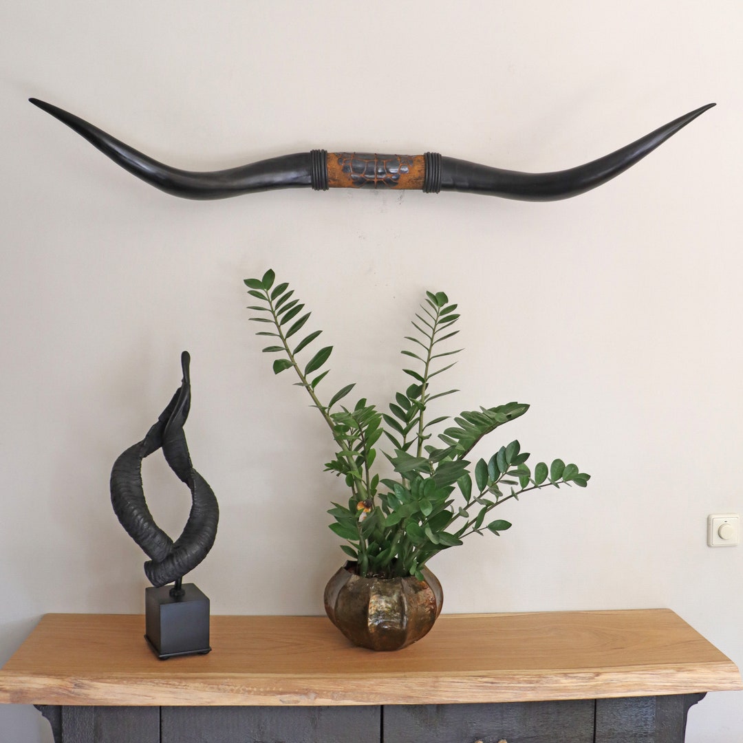 Steer Horns Wall Mount, Bull Bar in Black, Longhorn Wall Decor ...